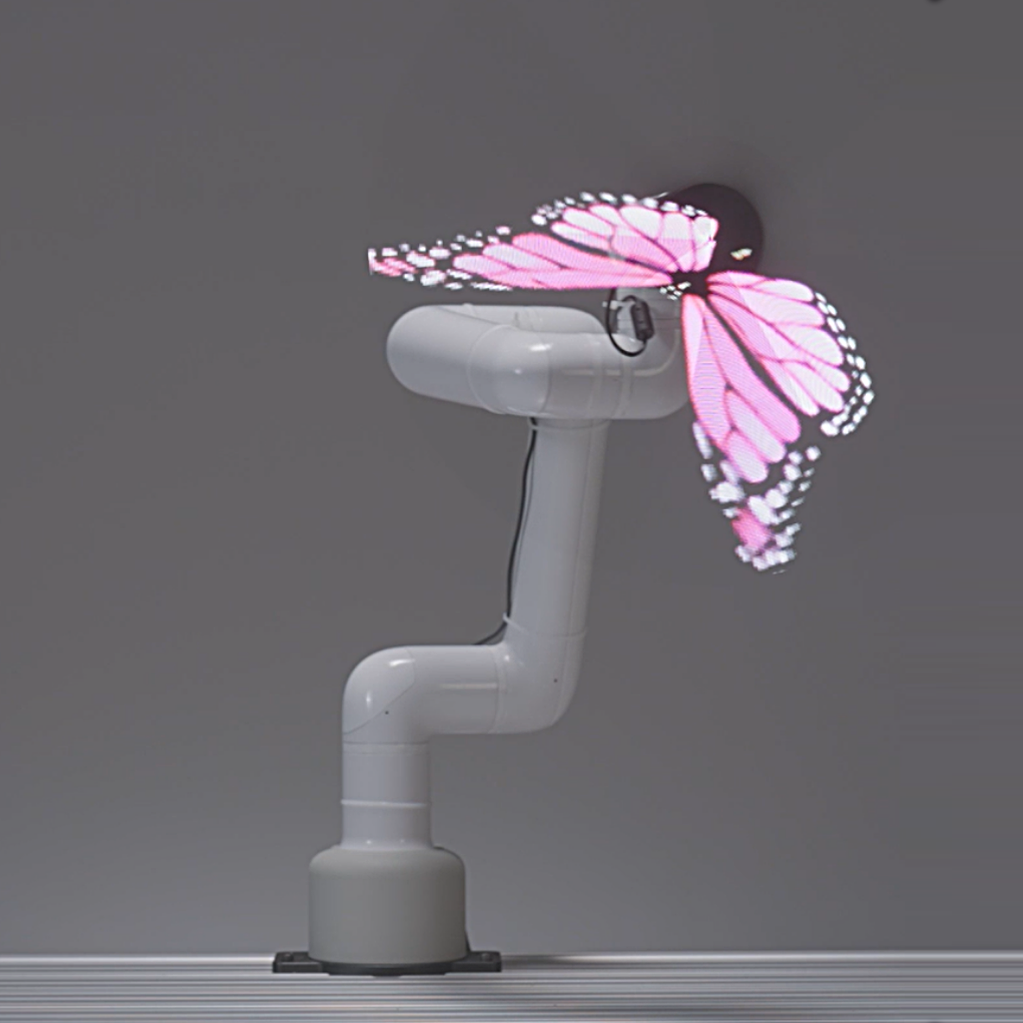 Best Raspberry Pi Robotic Arm Cobot Robot Elephant Robotics