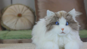 Elephant Robotics metaCat: Gift the Purr~Fect Companion Robotic Pet Ca