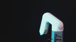 Elephant Robotics myPalletizer 260 Raspberry Pi: The Most Compact 4-axis Robotic Arm